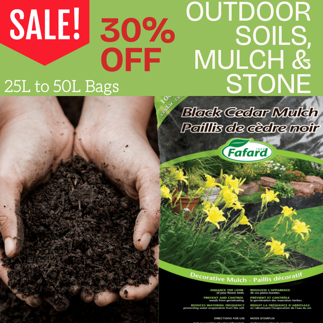 Sales & Specials, Niagara